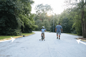 Improve your Photography with Leading Lines