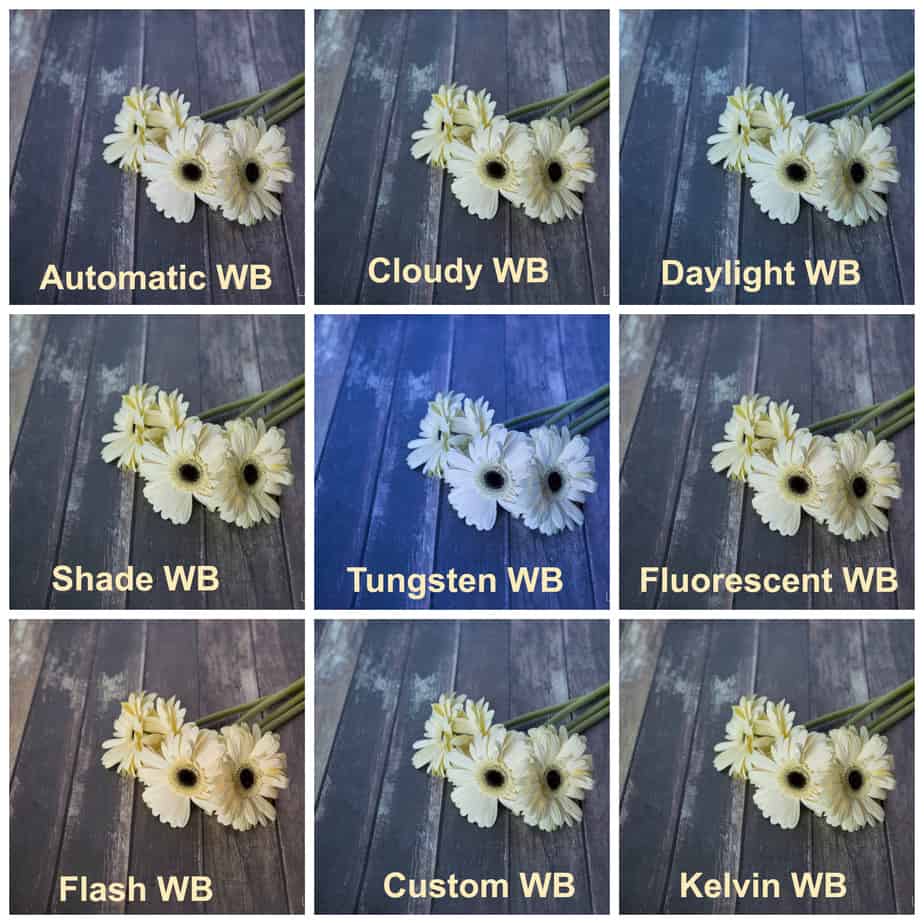 Photography tips for white balance in photography