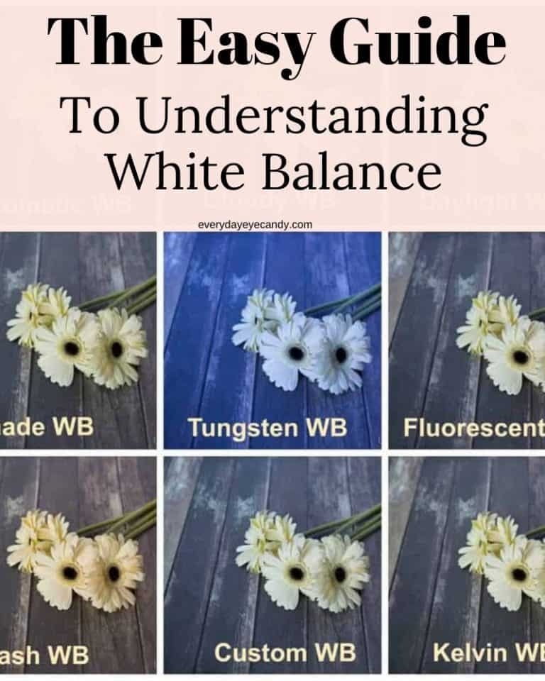 Photography tips for white balance in photography