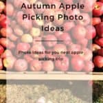 Fall Adventures: Georgia Apple Orchards - Everyday Eyecandy