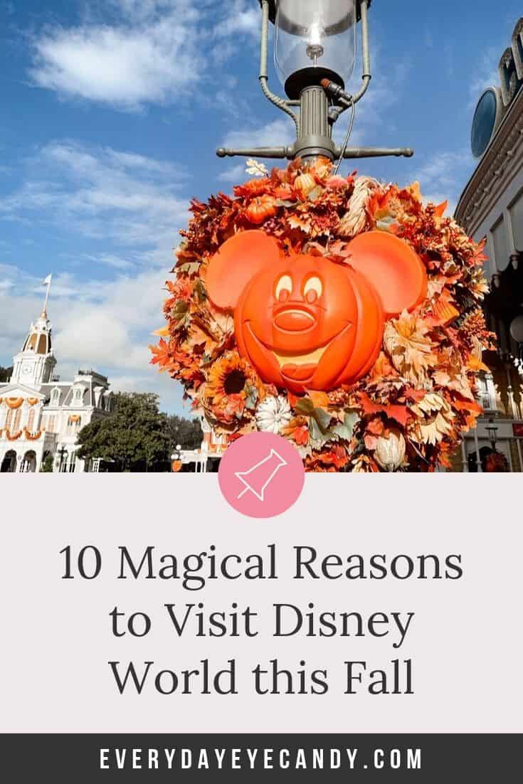 10 Reasons to visit Walt Disney World in the Fall (2024 update ...