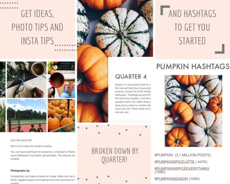 Insta Inspiration Ebook - Everyday Eyecandy