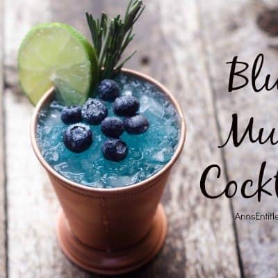15 of the Best Holiday Moscow Mule Recipes - Everyday Eyecandy